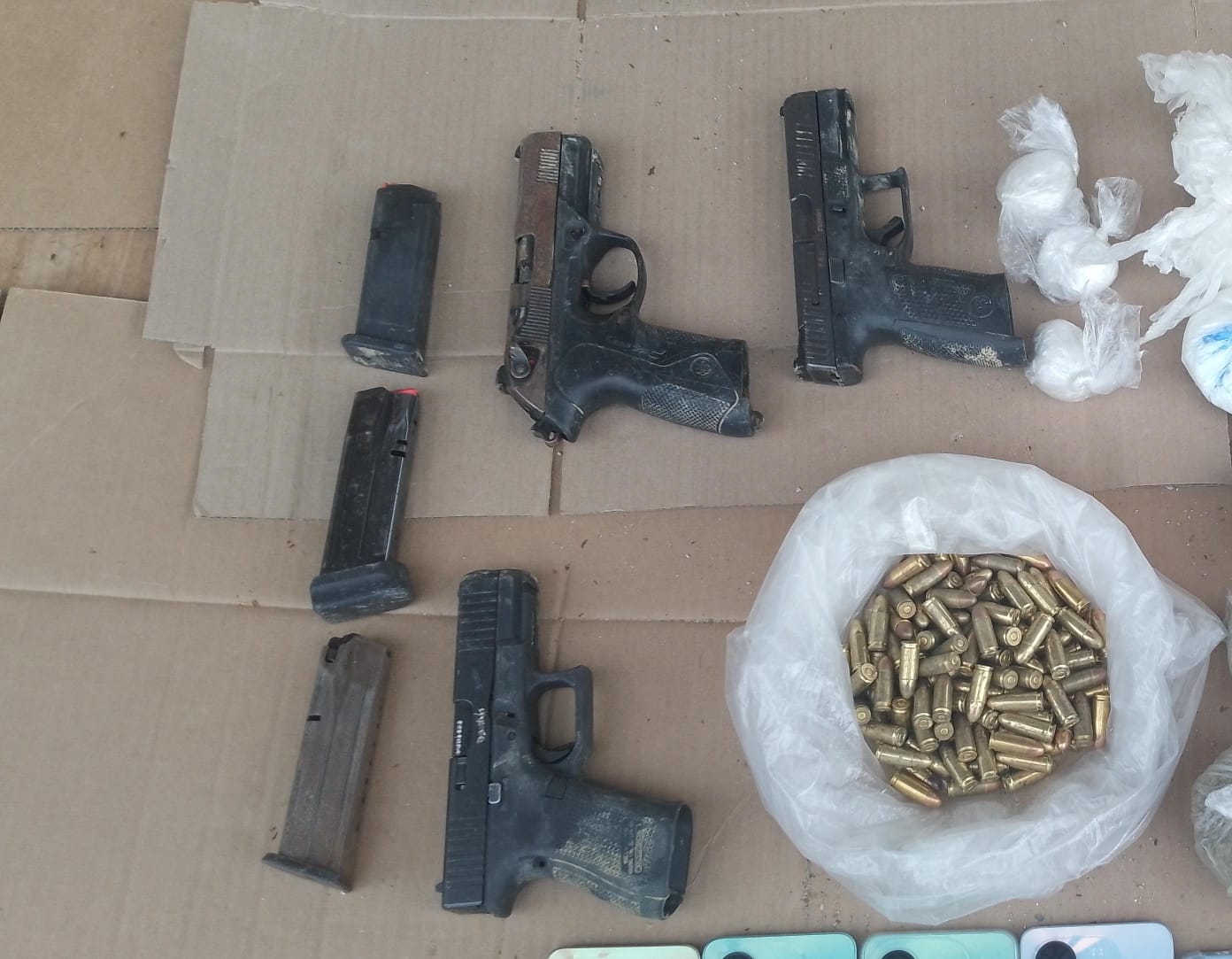 Control de armas, municiones y explosivos en la penitenciaria de ...